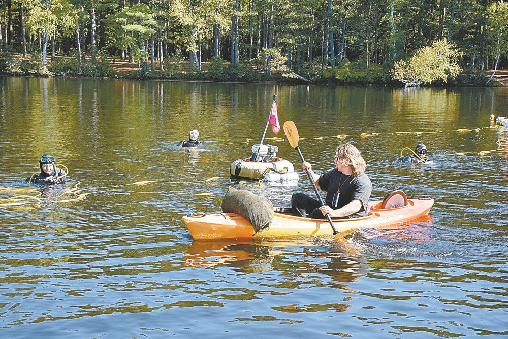 DEC releases statewide invasive species plan | News, Sports, Jobs ...